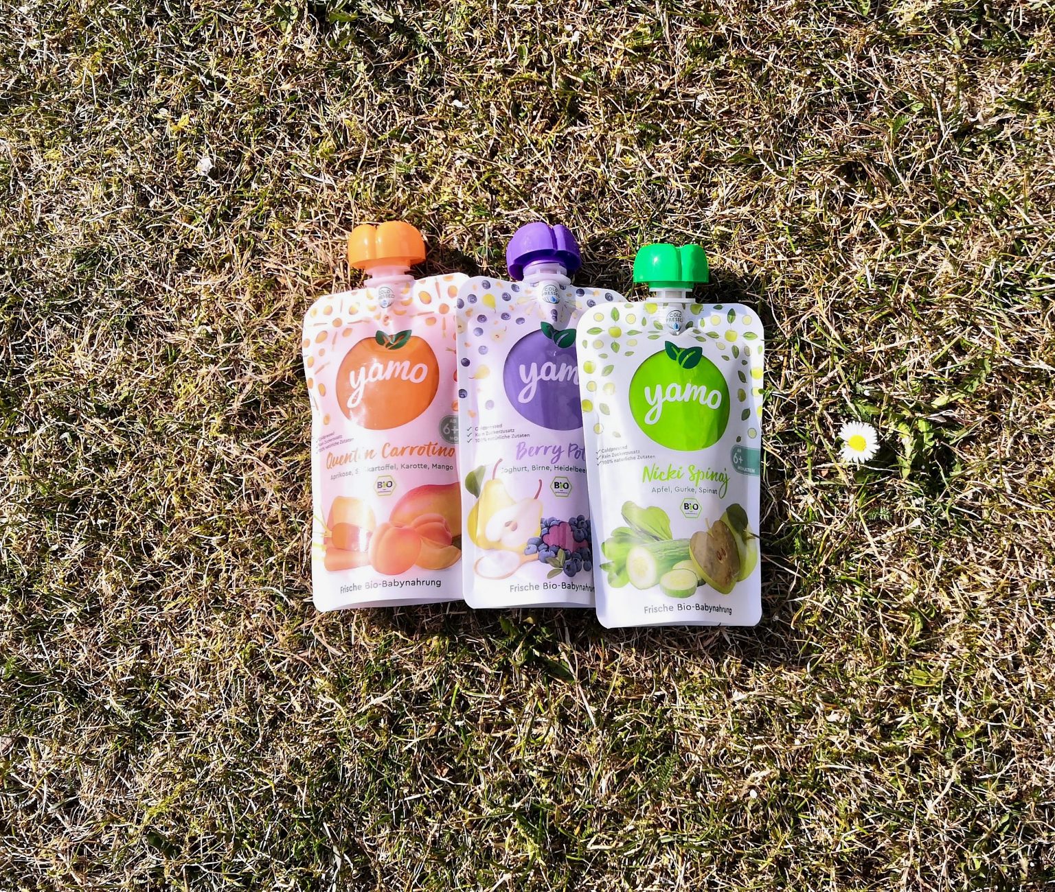 Yamo Bio – frische Babynahrung & Kindersnacks - waswirspielen.com