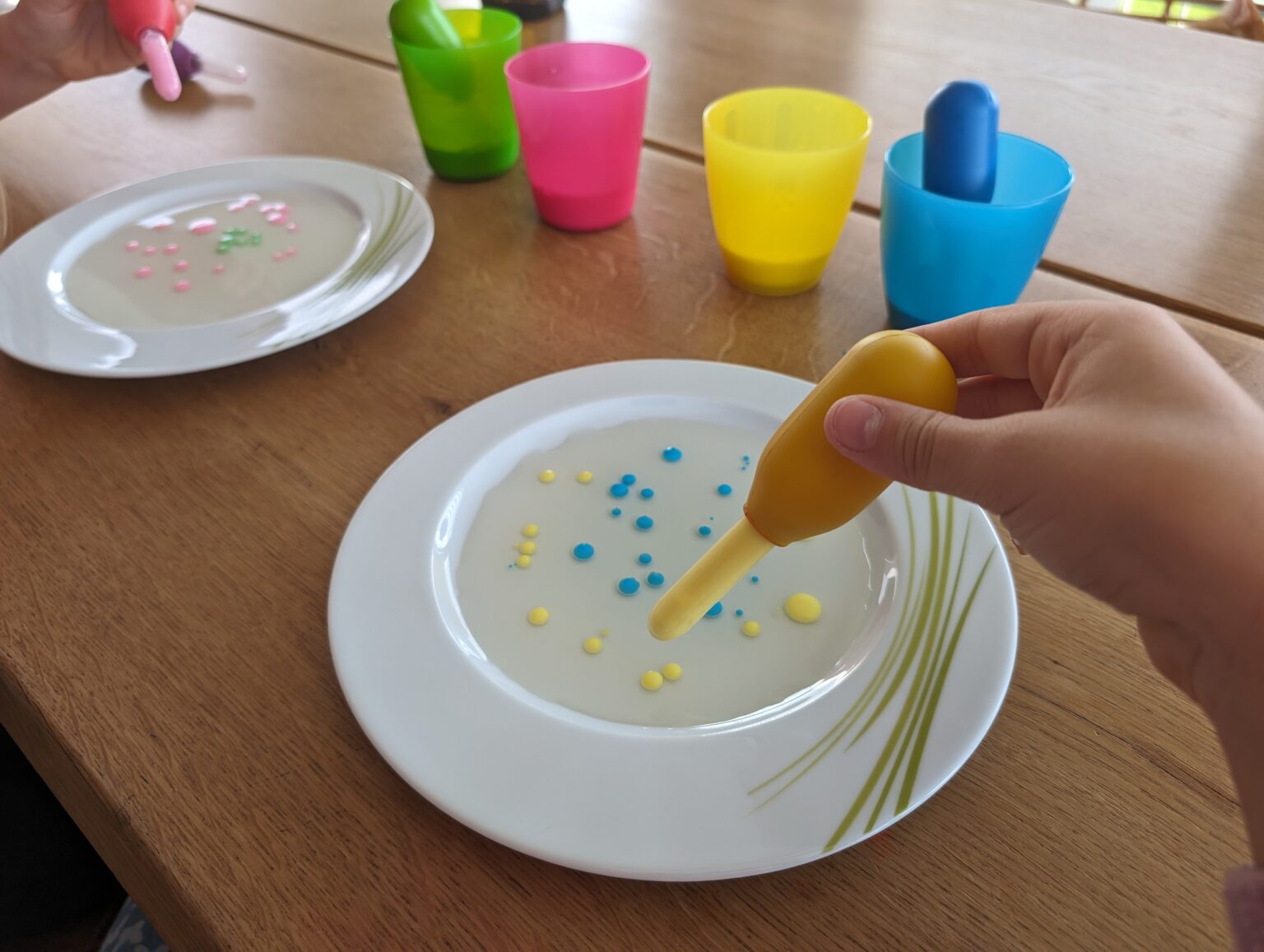 Das magische Experiment mit Öl und gefärbter Milch - waswirspielen.com